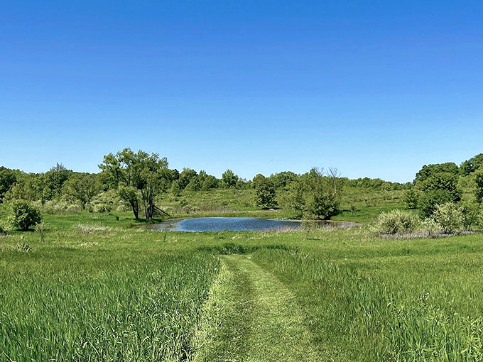 West Lake Preserve's winding trail leads to hidden waters, a secret path where tall grasses part to reveal nature's quiet perfection.