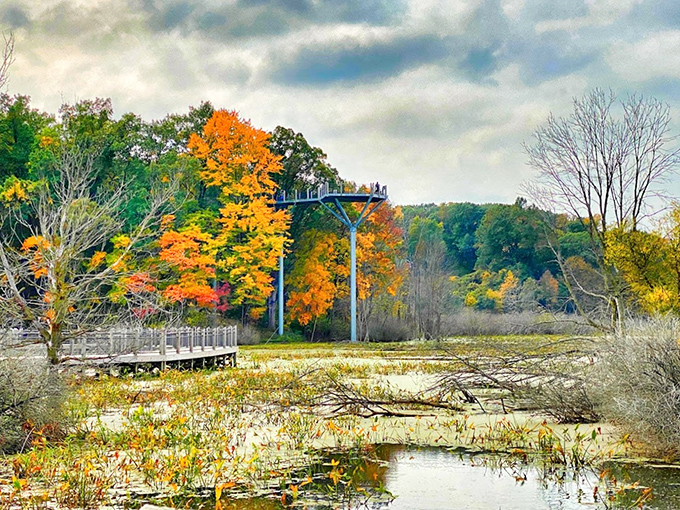 Autumn paints the wetlands in fiery hues, creating a seasonal masterpiece that frames the observation tower in golden splendor.