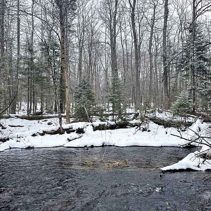 Winter transforms the landscape into a hushed wonderland where flowing water defies the freeze in a quiet act of rebellion.