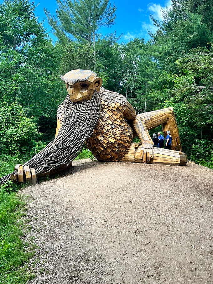 Sunlight filters through the trees, casting dappled patterns across Benny's wooden frame as he gazes thoughtfully across the landscape.