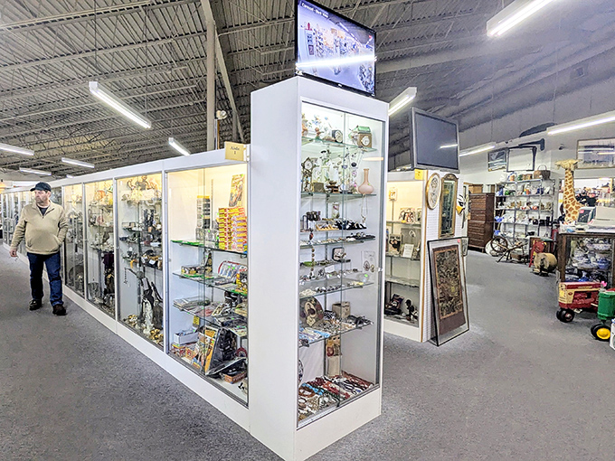 The seemingly endless aisles invite exploration, offering that choose-your-own-adventure quality where every turn might lead to exactly what you didn't know you needed.