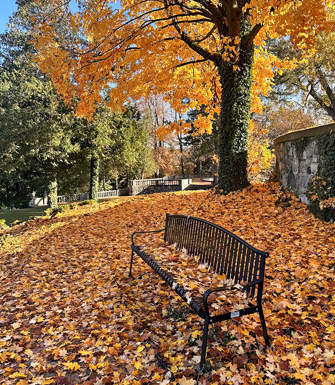 Fall leaves create nature's most comfortable carpet around this bench, practically begging visitors to sit and contemplate life's big questions.