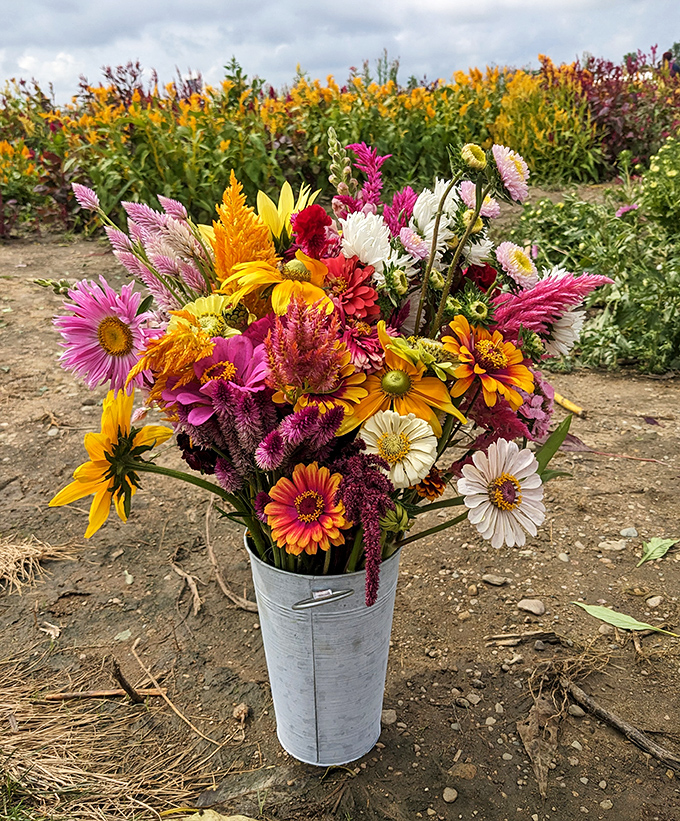 A symphony of colors and textures &ndash; this farm-fresh bouquet showcases the diversity beyond sunflowers, with each bloom competing for attention.