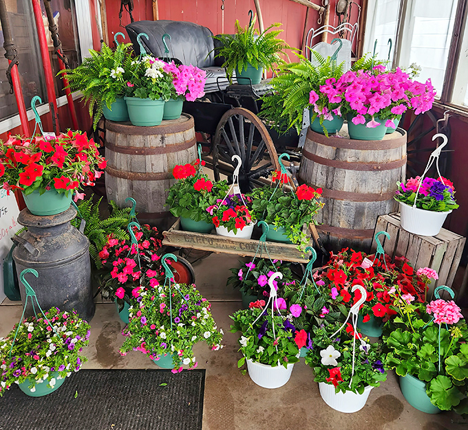 Nature's color palette explodes in these hanging baskets and potted flowers &ndash; portable gardens that bring instant joy to any porch.
