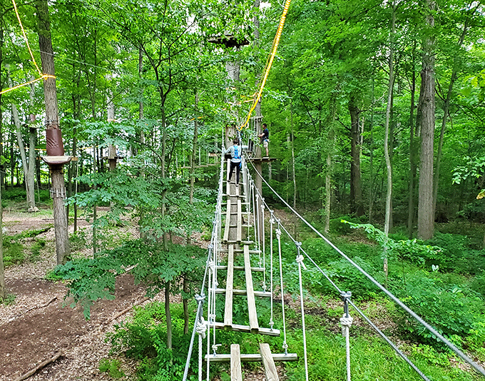 The suspended walkway ahead says "easy peasy" while your knees strongly disagree with that assessment.