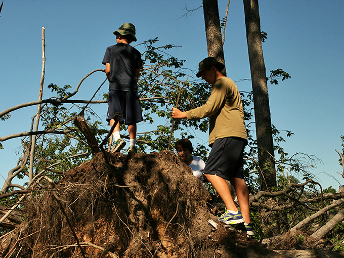 Young explorers conquering nature's playground &ndash; no batteries required for this kind of entertainment that builds memories instead of screen time.