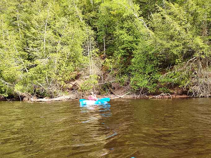 Kayaking through tannin-stained waters offers a paddler's-eye view of Michigan's wilderness &ndash; like floating through a perfectly brewed cup of forest tea.