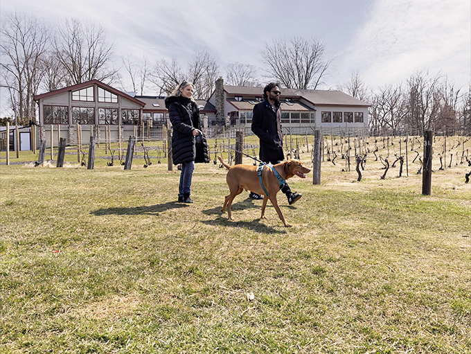 Nature's cathedral awaits on the trail, where dappled sunlight creates ever-changing patterns and the only soundtrack is birdsong and rustling leaves.