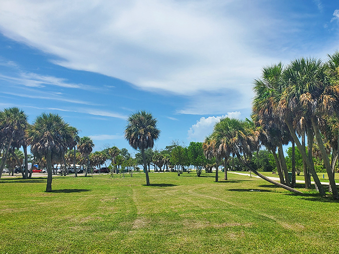 An open field of swaying palms and green grass that practically begs for picnic blankets, frisbees, and afternoon naps.