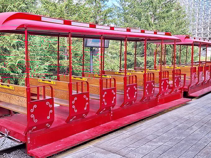 The park's passenger train offers a scenic respite for tired feet and a chance to strategize your next watery conquest.