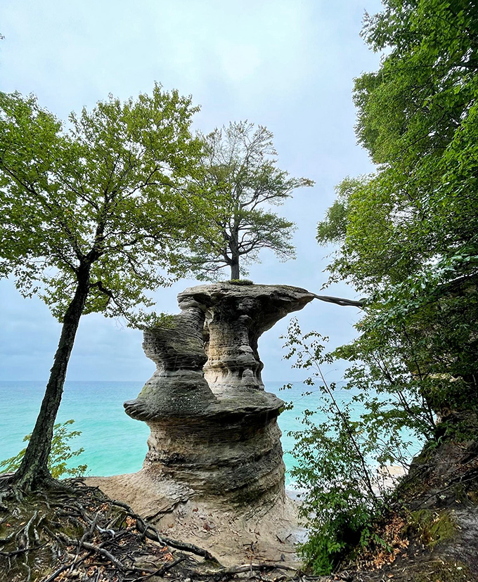 Chapel Rock stands like nature's sculpture garden, complete with a determined tree that refuses to give up its precarious perch.
