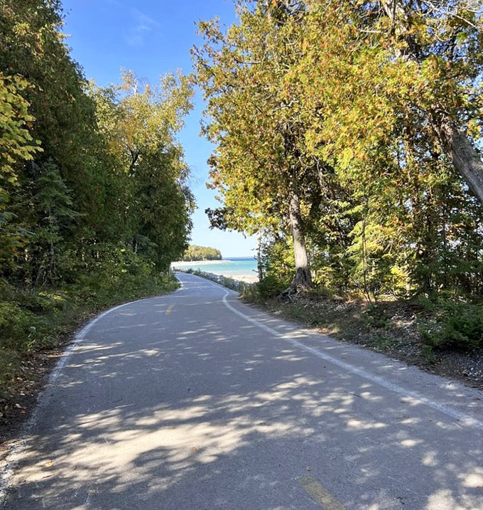 The path winds through autumn's golden gallery, where trees showcase their seasonal finery against Huron's deep blue canvas.