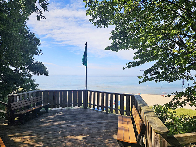 A postcard-worthy vista where treetops part to reveal Lake Michigan's vastness, reminding us why we endure Michigan winters.