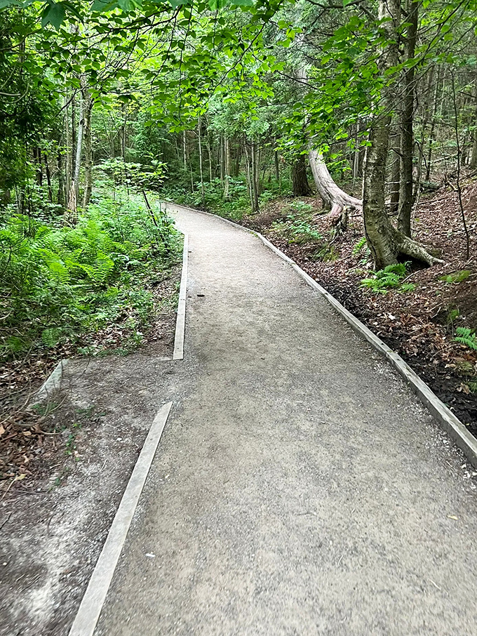 The trail beckons with promises of adventure without demanding Olympic-level fitness &ndash; nature's version of "come as you are."