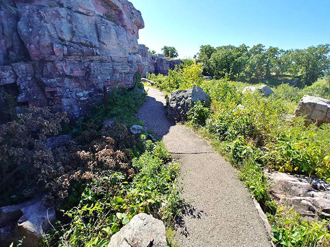 The trail winds between towering pink cliffs, offering an intimate journey through one of Minnesota's most unique geological treasures.