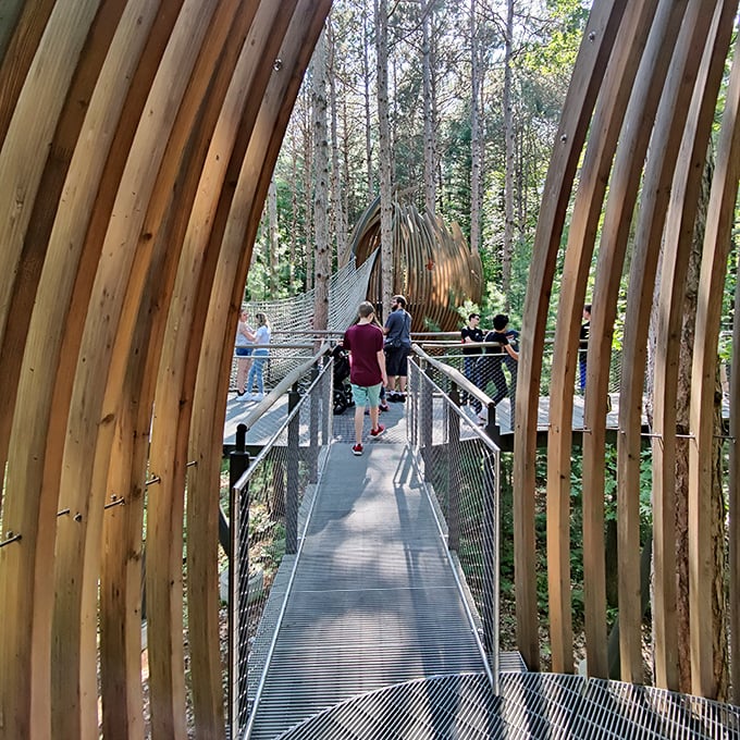 Fall visitors are treated to a kaleidoscope of autumn colors at eye level—nature's most spectacular show.