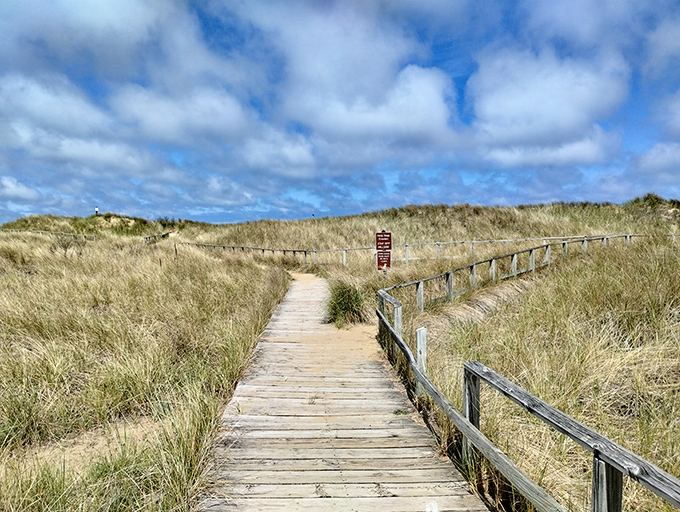 This wooden boardwalk invites exploration through windswept dunes, offering protection for fragile ecosystems while guiding curious feet.