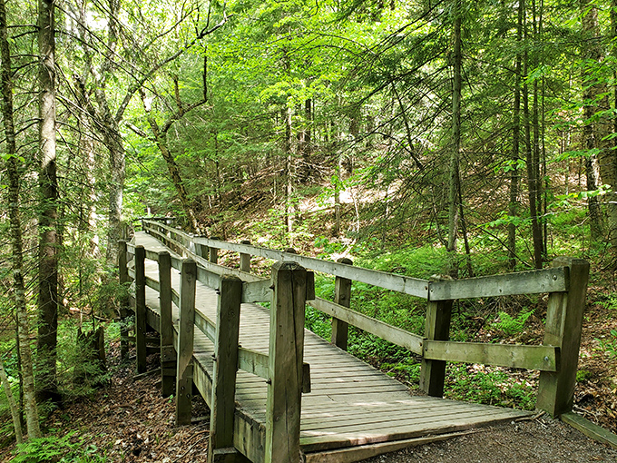 The thoughtfully designed boardwalk makes this natural wonder accessible to visitors of all ages and abilities.