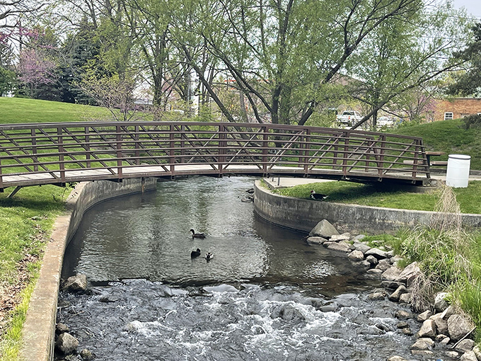 These wooden footbridges aren't just functional – they're gathering spots where generations have paused to watch life flow beneath them.