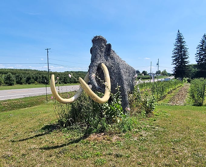 The woolly mammoth statue stands guard outside, a prehistoric greeter reminding visitors that extinction is forever.