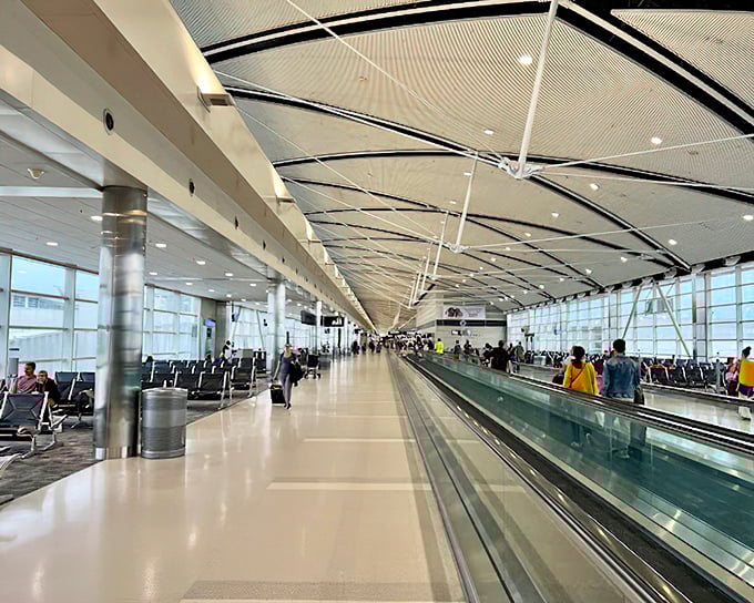 The main terminal's sleek, modern design gives no hint of the psychedelic passage lurking below &ndash; Detroit Airport's best-kept open secret.