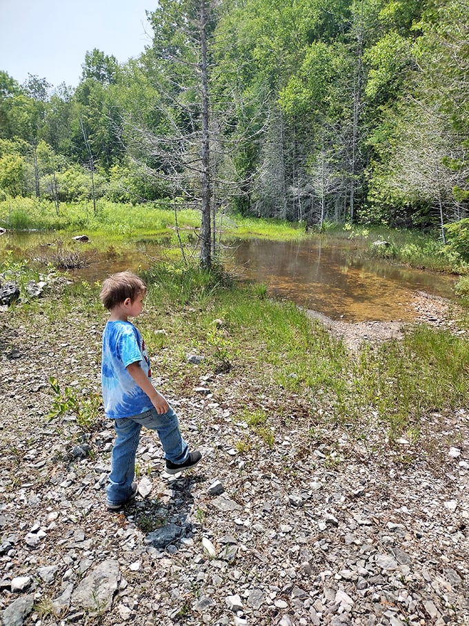 A young adventurer contemplates the shallow waters that now fill quarry depressions, nature's way of healing industrial scars with reflective beauty.