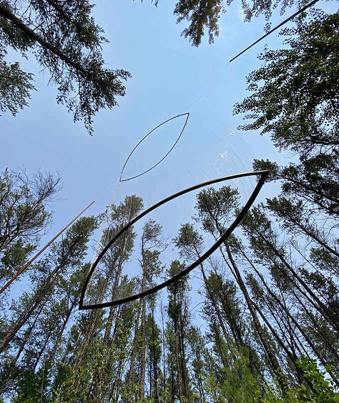 Look up! Metal outlines suspended between treetops frame the sky, turning ordinary clouds into framed masterpieces.