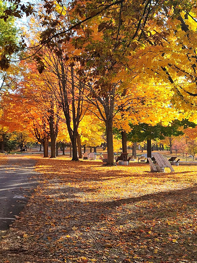 Autumn's paintbrush turns the park into a masterpiece of amber and gold, creating a scene that leaf peepers dream about.