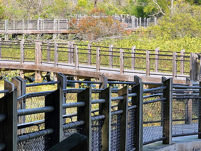 Engineering meets nature &ndash; the boardwalk's sturdy construction ensures safe passage while minimizing impact on the delicate ecosystem below.