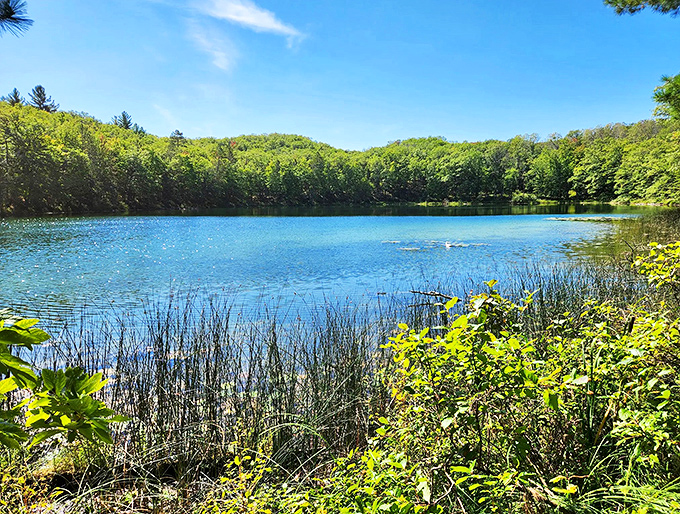 Bowman Lake's crystal waters mirror-perfect skies, creating that rare place where heaven and earth seem to shake hands.