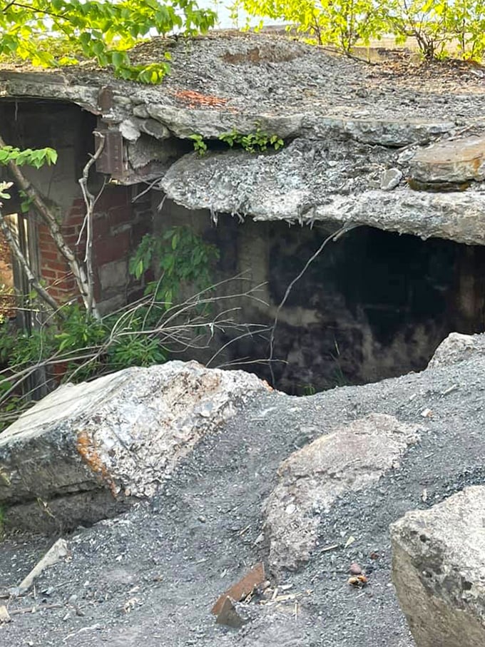 Broken doesn't mean useless &ndash; this concrete opening now shelters wildlife and collects rainwater, finding new purpose in abandonment.