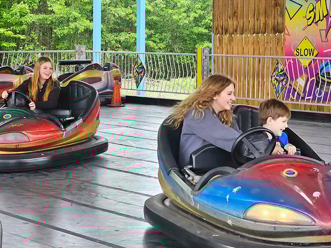 Bumper cars with just enough bounce to be fun without triggering calls to chiropractors. The satisfying thump of collision followed by inevitable laughter is timeless.