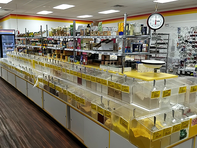 The checkout counter, where dreams become reality and self-control goes to die in the most delicious way possible.