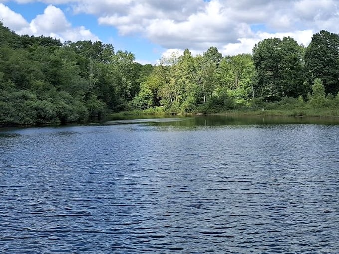 Mother Nature's original swimming pool, now with fewer leeches and more scenic views.