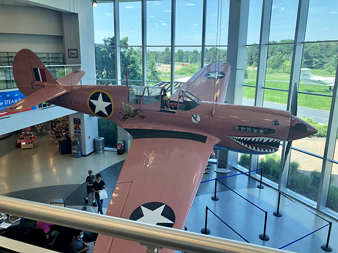 The P-40 Warhawk's shark-mouth nose art still looks intimidating decades later &ndash; psychological warfare never goes out of style in aerial combat. 