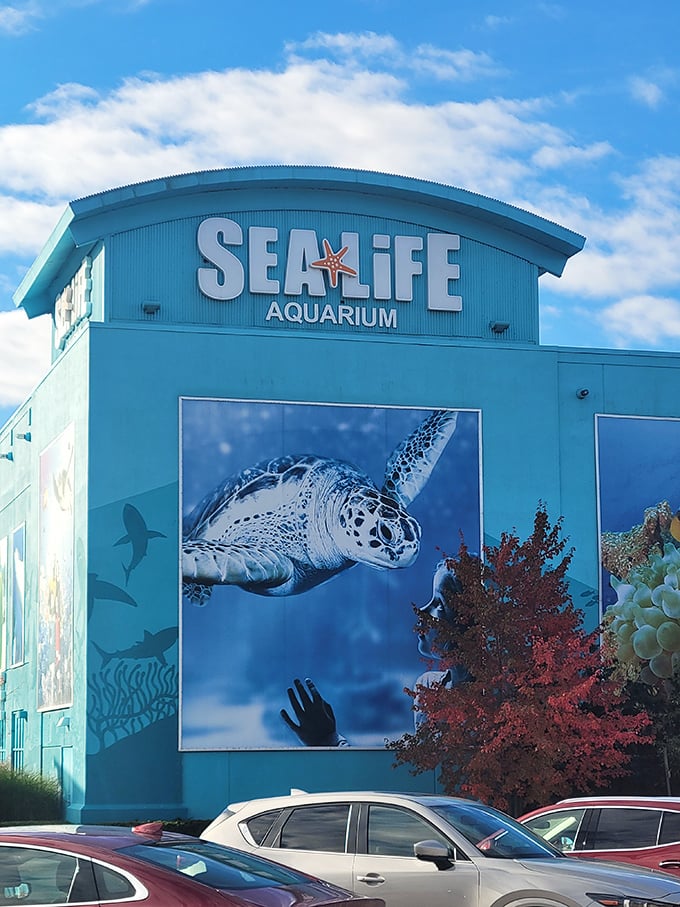 The striking blue exterior of SEA LIFE Michigan announces itself boldly, promising underwater wonders within its walls.
