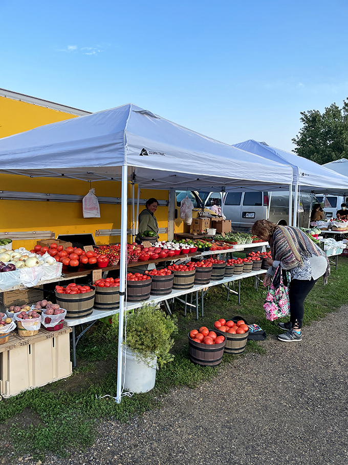 Farm-fresh goodness! Local produce vendors offer the season's best fruits and vegetables, bringing farm-to-table directly to market-goers.