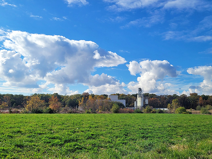Rolling fields meet big Michigan skies, creating breathtaking vistas that change with each season's distinctive palette.