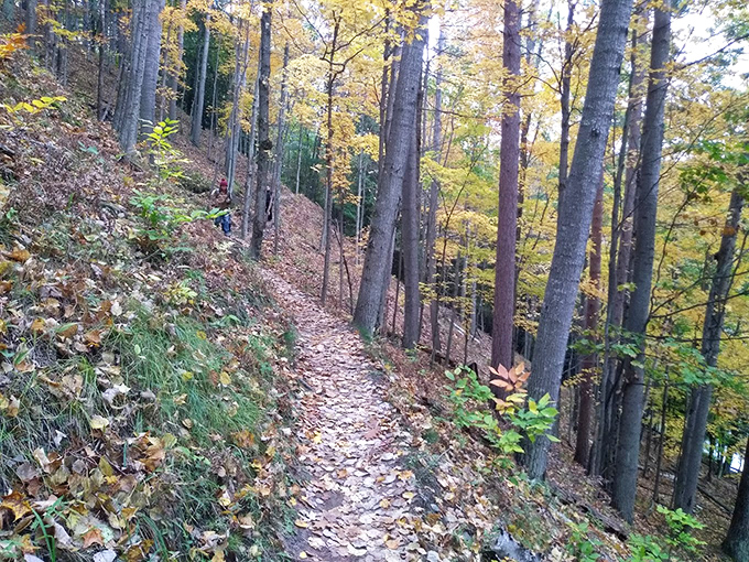This narrow forest trail clings to the hillside like nature's tightrope, offering equal measures of challenge and charm to passing hikers.