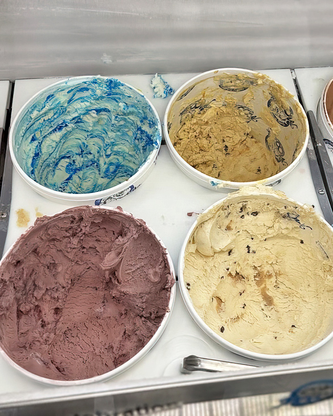 Ice cream flavors lined up like edible works of art &ndash; each tub a creamy canvas of farm-fresh dairy perfection.