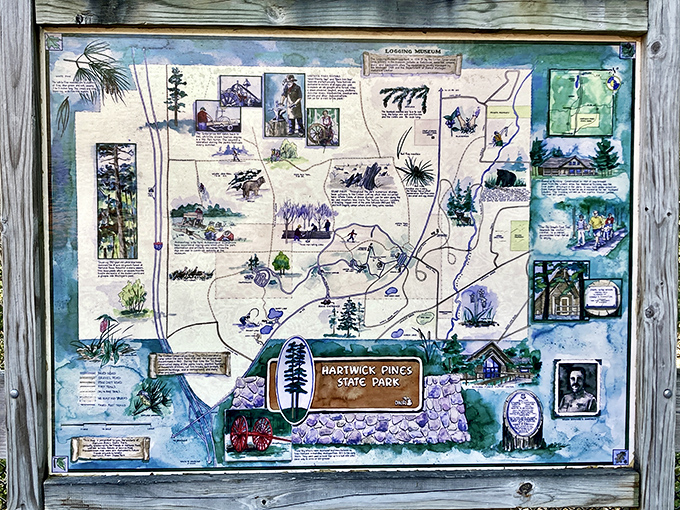 This artistic map doesn't just show where to go &ndash; it tells the rich story of the park's history, wildlife, and natural features.