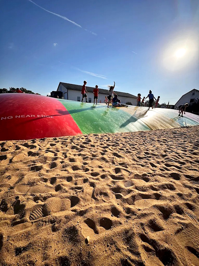 The gift shop's charming display of seasonal socks and accessories &ndash; because nothing says "I love fall" like mushroom-patterned footwear.