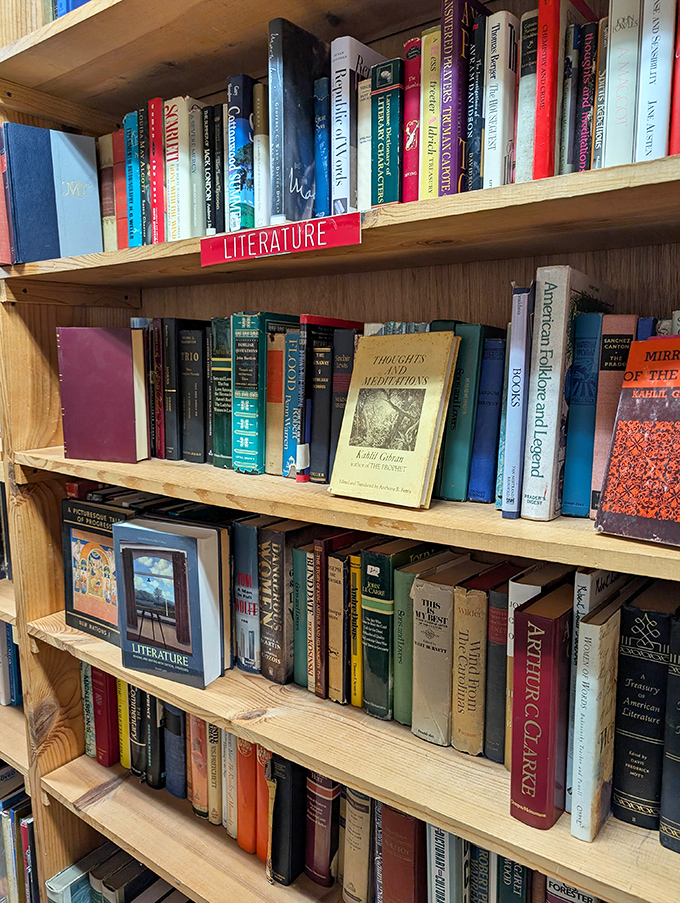 Literature shelves stand like sentinels of culture, where Kafka might share space with Kerouac and classics wait for new minds to discover.