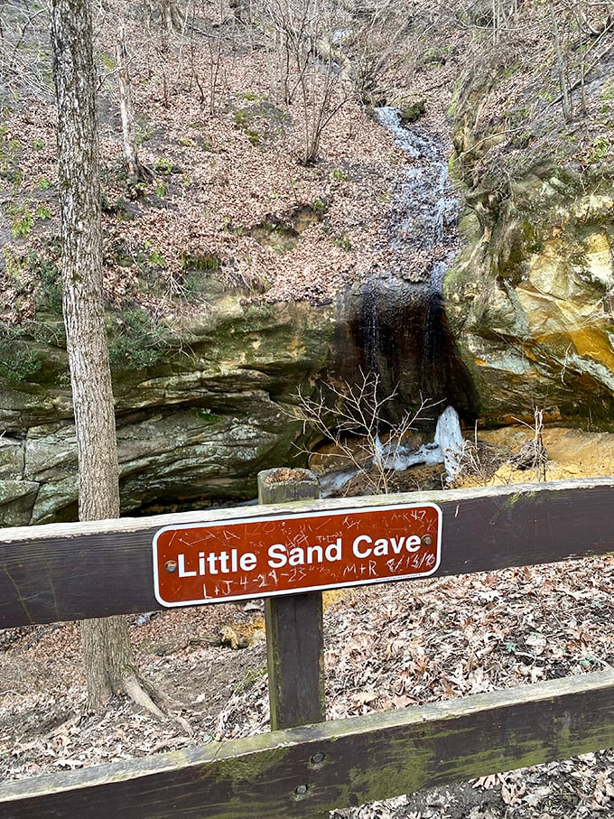 The hidden waterfall reveals itself to patient hikers, a liquid reward for those willing to venture beyond the main attractions.