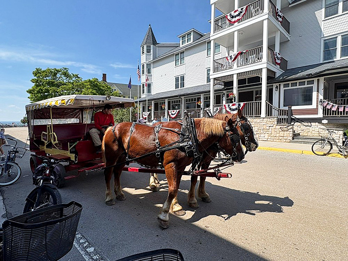 Island transportation at its finest, where a chestnut horse waits patiently outside a historic hotel, ready to whisk visitors to their next discovery.