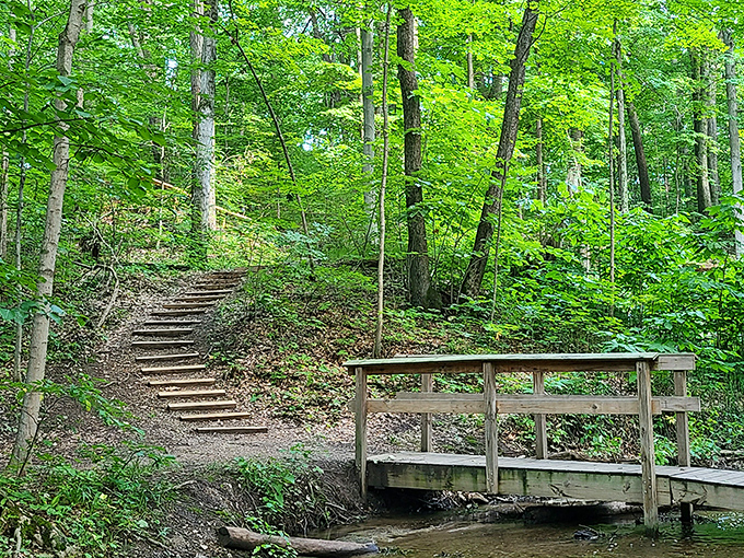 McCoy Creek Trail invites explorers into woods that feel miles from civilization despite being minutes from downtown.