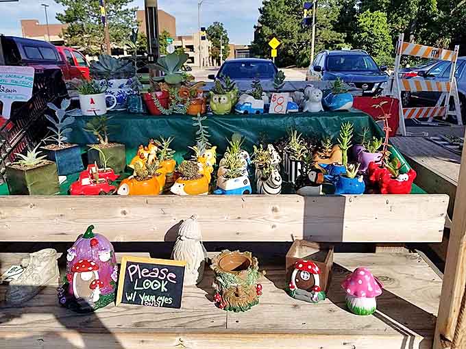 Whimsy meets horticulture in this outdoor plant display &ndash; who knew succulents could have so much personality?