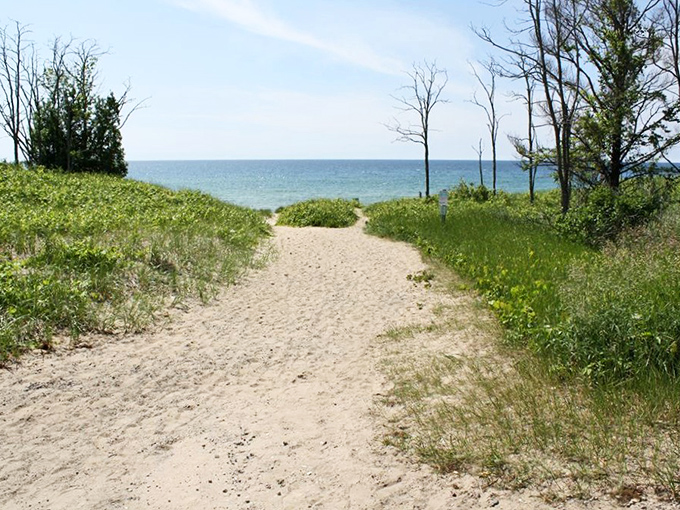 The sandy pathway beckons like nature's red carpet, promising the grand reveal of sparkling waters just beyond the greenery.