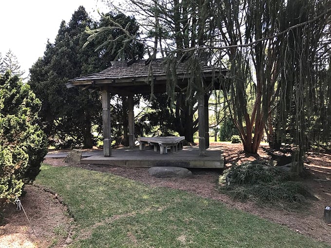 A tranquil gazebo nestled among towering trees &ndash; nature's perfect spot for contemplation or emergency snack consumption.