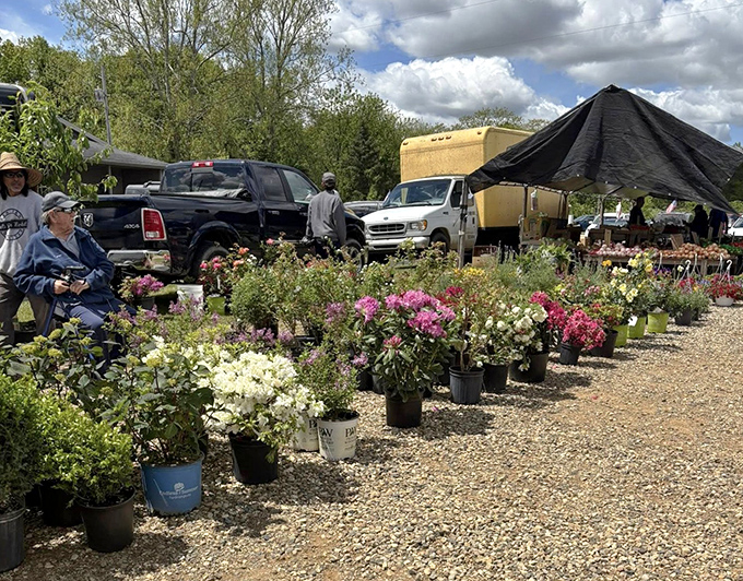 Garden dreams bloom in every pot! Vibrant flowers and shrubs wait to transform backyards into personal paradises.